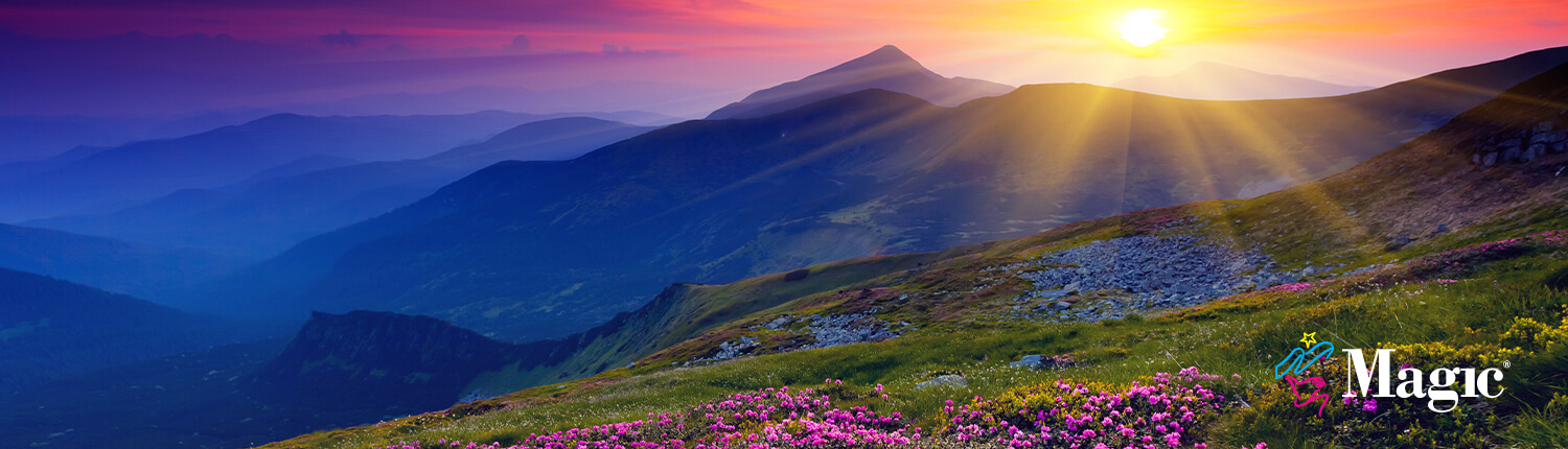 Magic Inkjet | Wide Format Paper | Photo Paper | Vinyl Banner